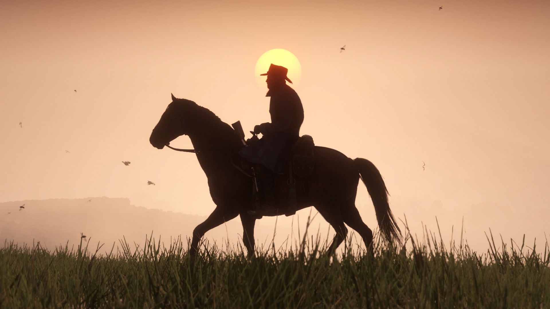 New Red Dead Redemption 2 Editions and Collector's Box!