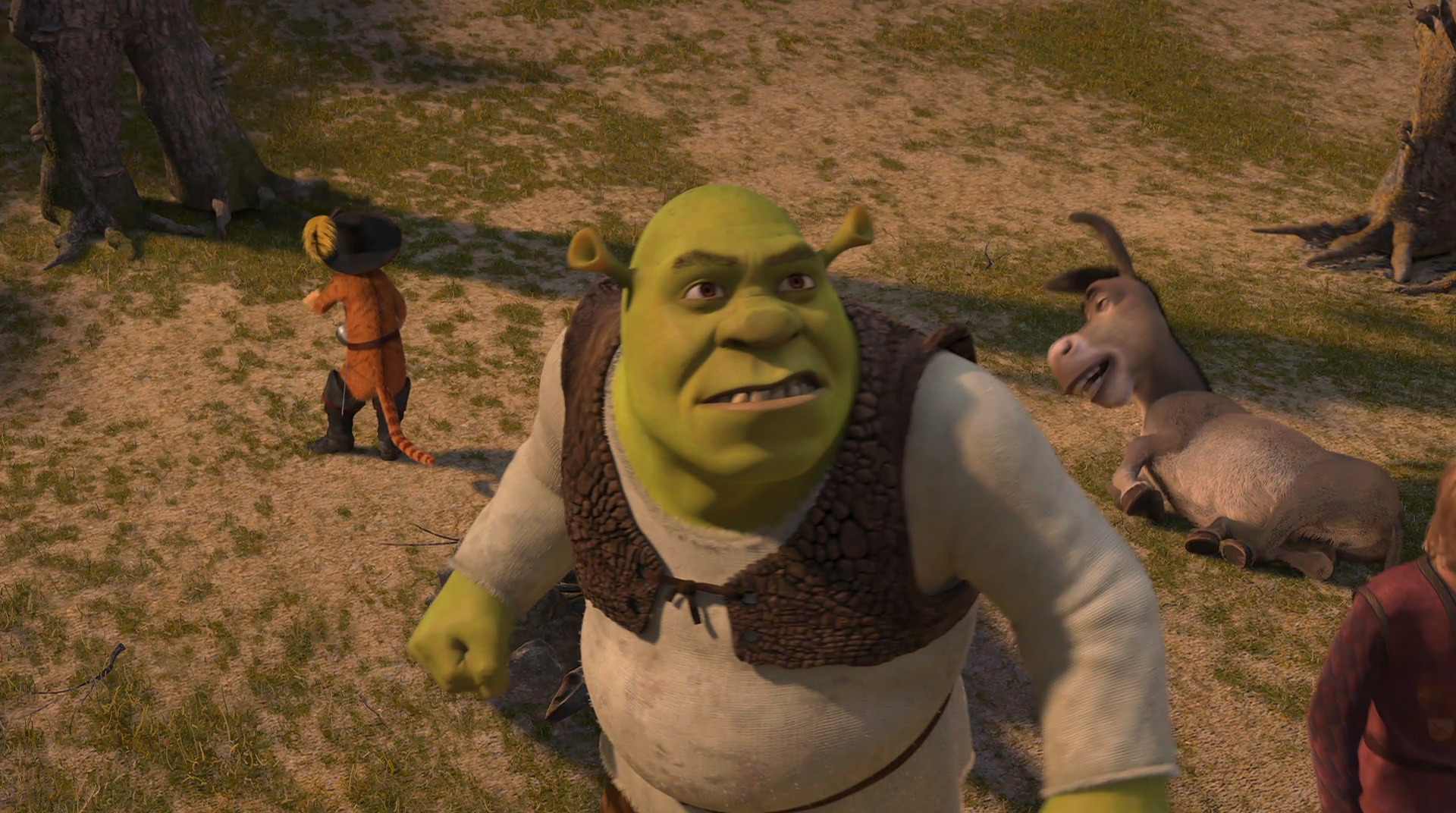 Shrek the Third (2007) Review - Missing Key Ingredients