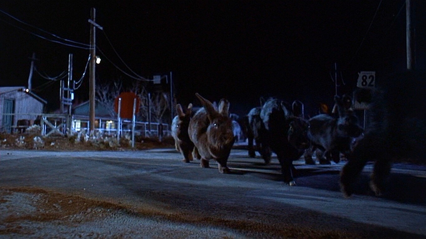 Top 10 Most Frightening Rabbit Horror Movies