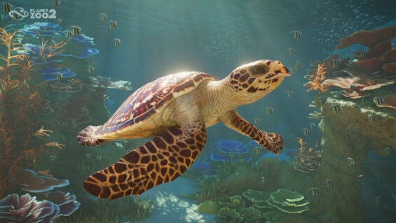 Planet Zoo 2 Announced With New Aquatic Life And Aviaries | Planet Zoo ...
